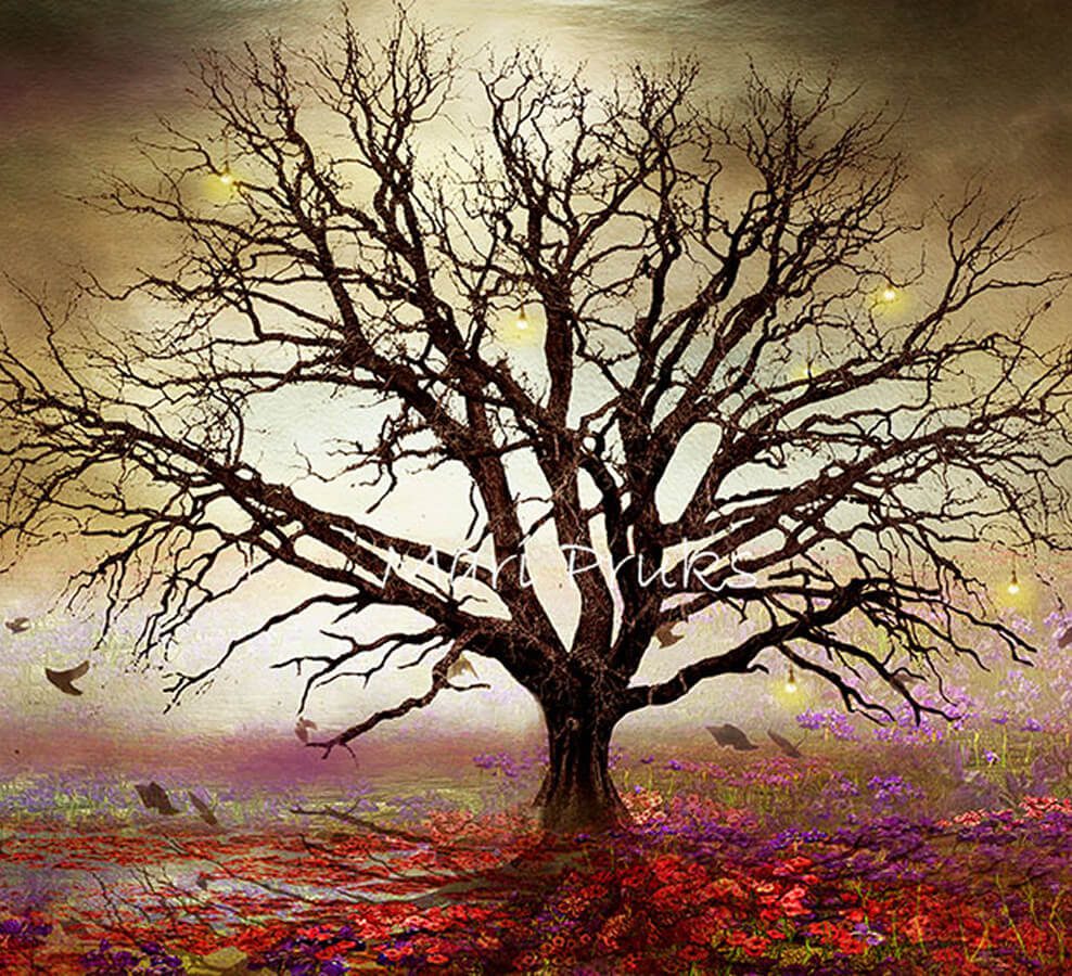 Digital Artist Photographer- Mari Pruks Photography